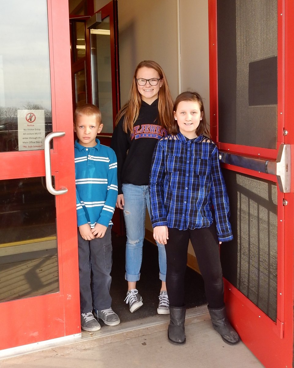 Pennsylvania School Screens | Security Window Screens