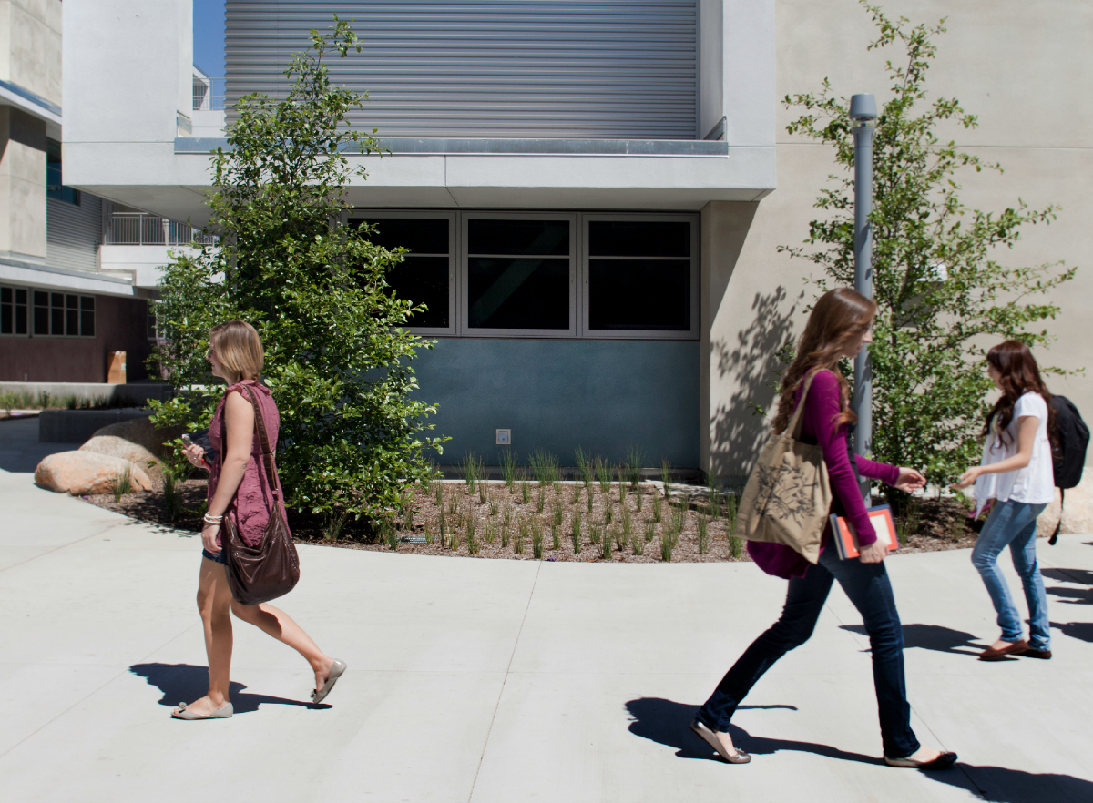 Security Screens Solutions | Security Screens | KaneInnovations